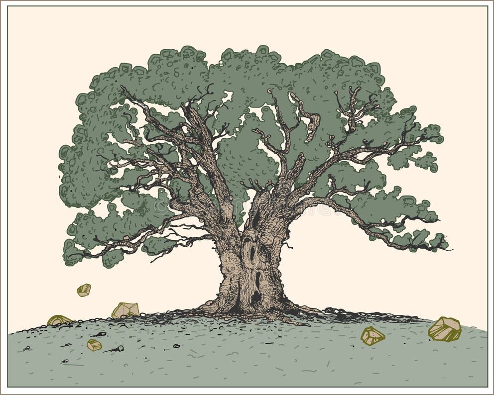 Ancient Live Oak Stock Illustrations – 110 Ancient Live Oak Stock ...