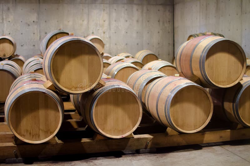 Oak Aging Room in a Winery stock photo. Image of wood - 76014240