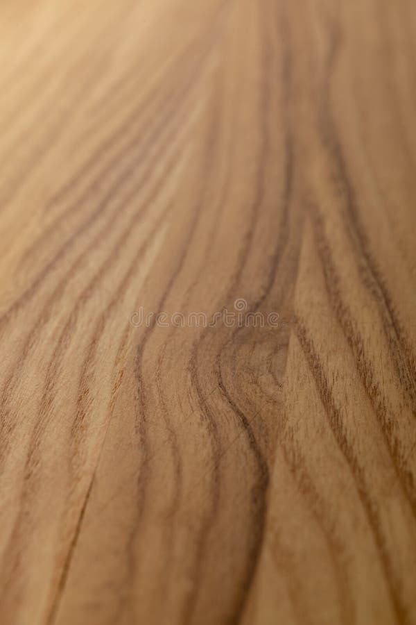 Oak Background. Wood Texture. Oak Surface for Design and Decoration ...