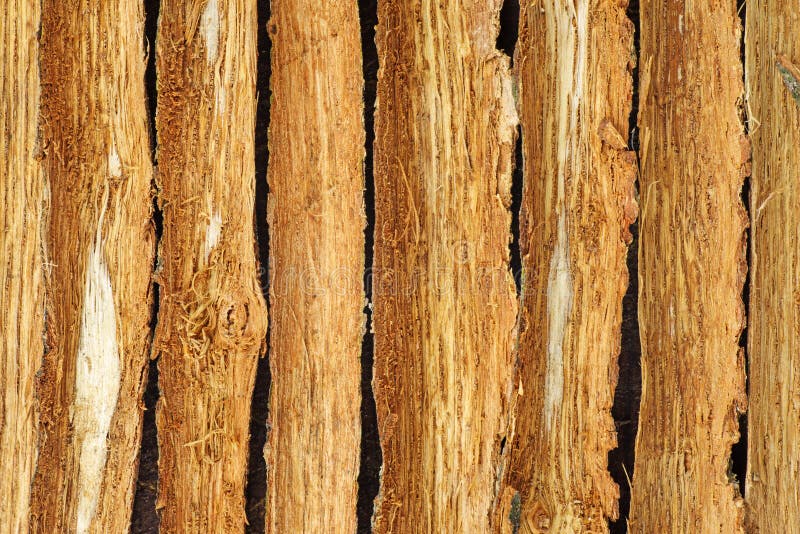 Oak bark pieces stock image. Image of piece, herb, tree - 152523949