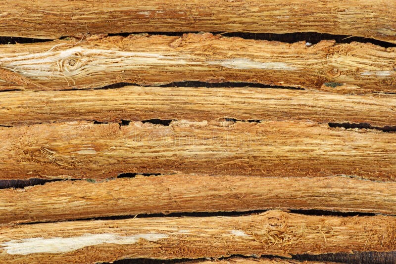 Oak bark pieces stock photo. Image of wooden, herb, wood - 152523922