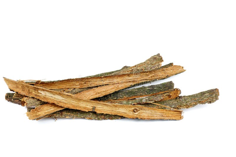 Oak bark pieces stock image. Image of fisre, wooden - 152524025