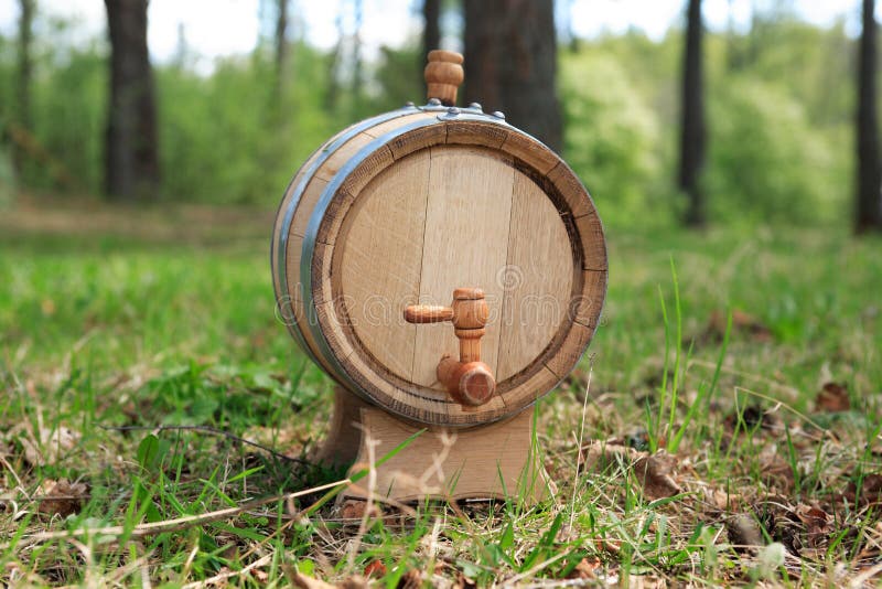 Oak Barrel in Forest stock photo. Image of grass, nature - 72049960