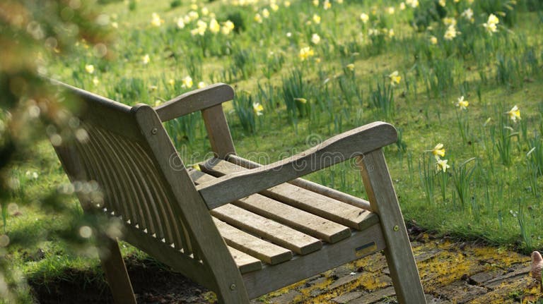 An Oak Bench in a Spring Background Stock Photo - Image of ...