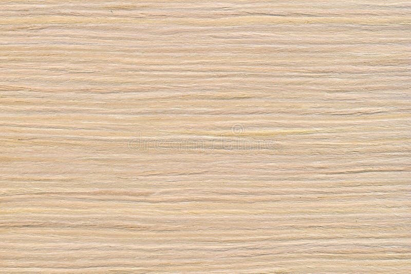 Oak bleached premium stock image. Image of pattern, panel - 38907111