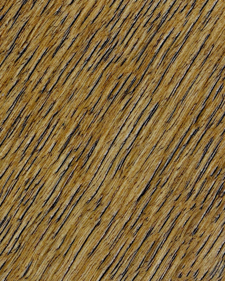Oak board grain stock photo. Image of finish, board, closeup - 89287468
