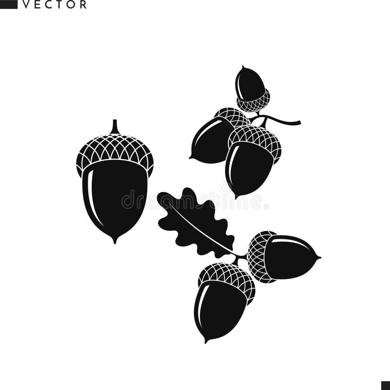 Oak Branch with Acorns and Leaves. Oak Tree Stock Vector - Illustration ...