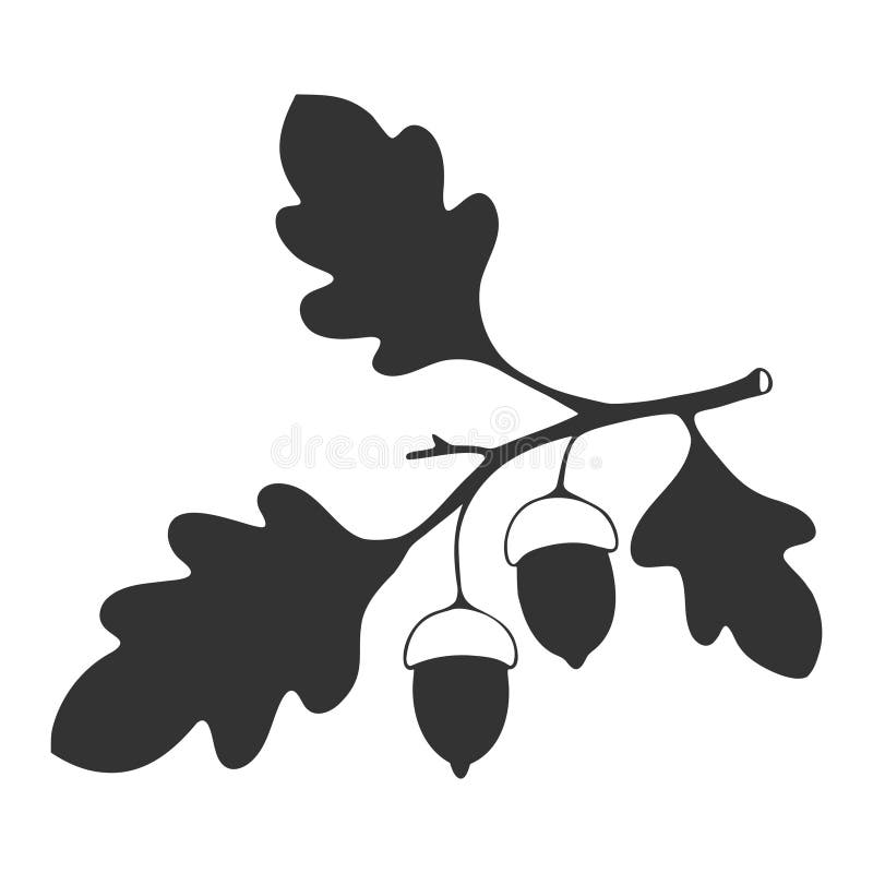 Oak Branch with Leaves and Acorns Silhouette Drawing. Stock ...