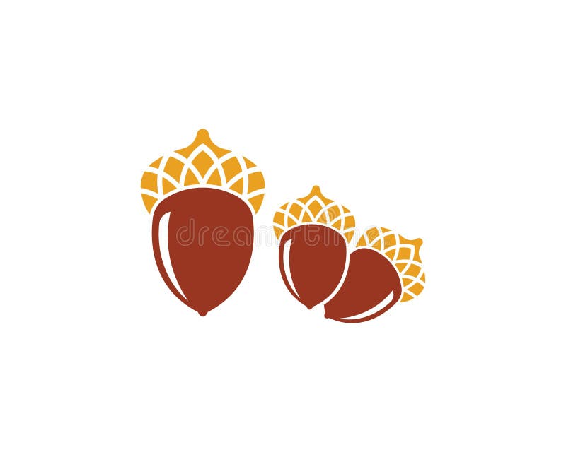 Oak Branch Vector Illustration Template Stock Vector - Illustration of ...