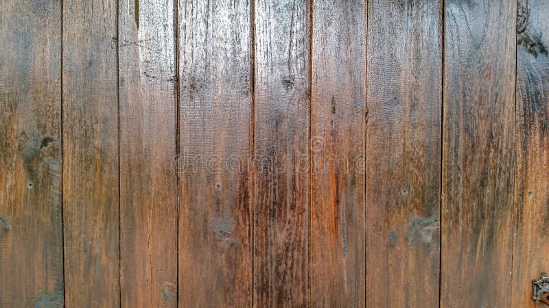 Oak color wood wall stock photo. Image of wood, color - 48853910