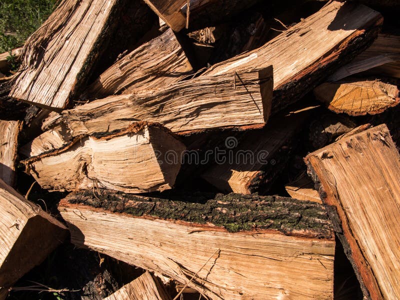 Oak Cut into Pieces As Fuel Stock Photo - Image of plant, drying: 56280802