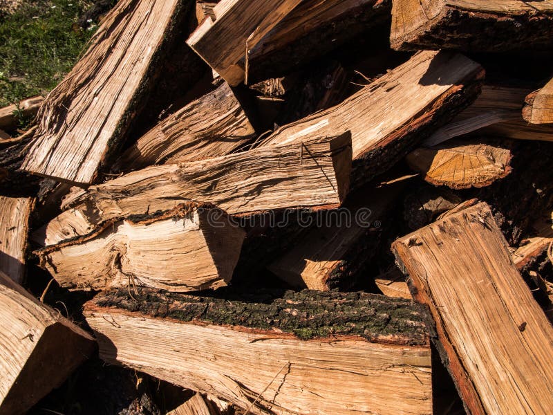 Oak Cut into Pieces As Fuel Stock Photo - Image of plant, nature: 56280820