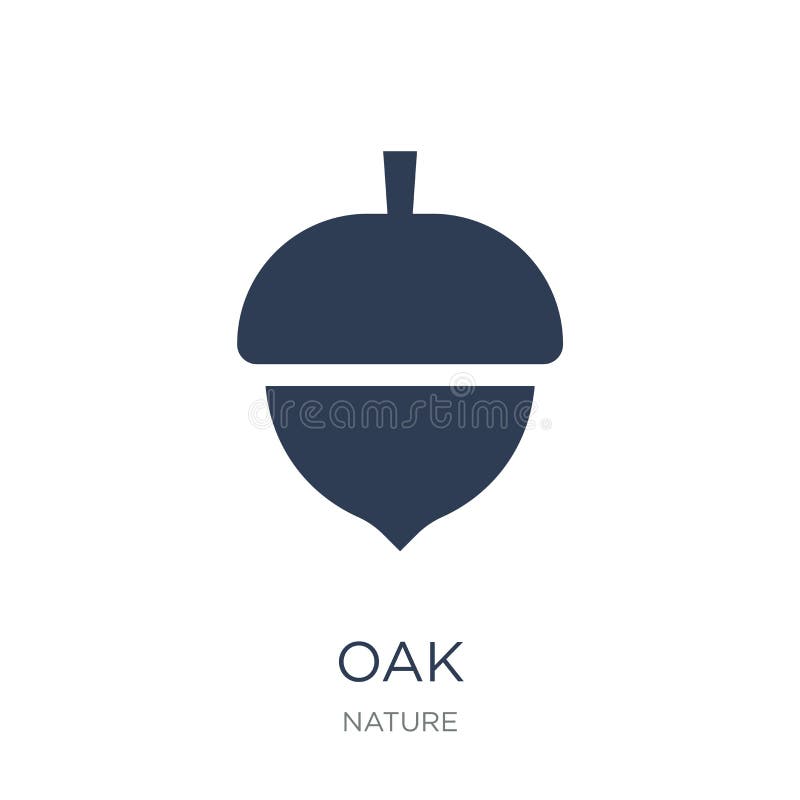 Oak Icon. Trendy Flat Vector Oak Icon on White Background from N Stock ...