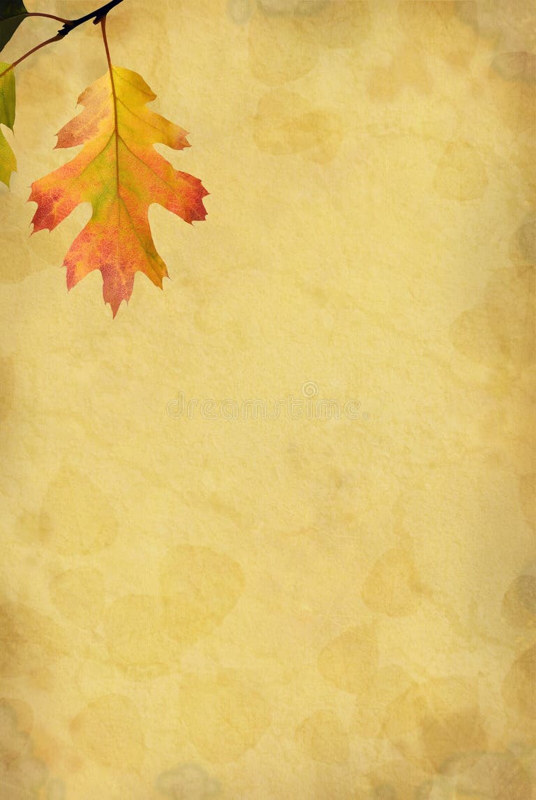 1,146 Muted Leaves Background Stock Photos - Free & Royalty-Free Stock ...