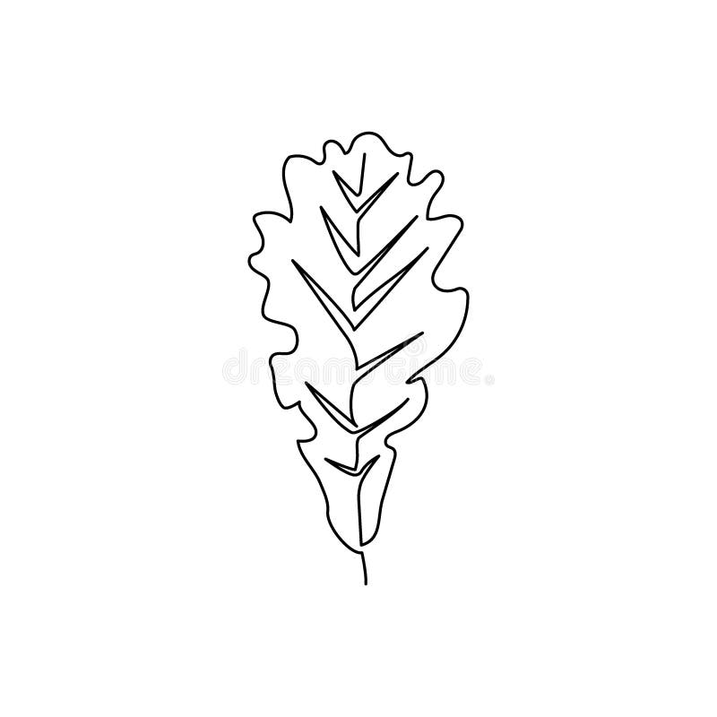 Continuous Line Drawing Herb Stock Illustrations – 751 Continuous Line ...