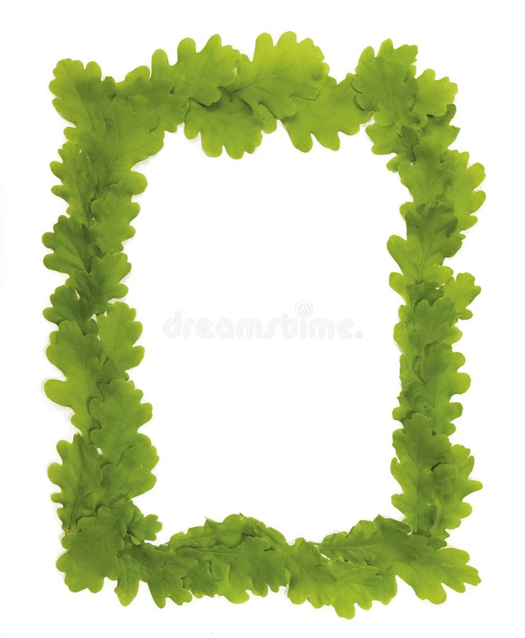 Leaf frame. stock image. Image of care, foliage, growing - 26061115