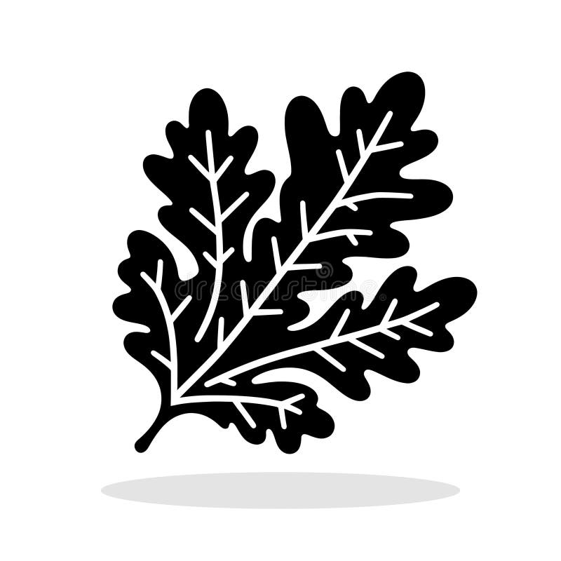 Oak Leaf Icon. Leaf Vector Icon. Black Oak Leaf Icon Stock Vector - Illustration of stylized ...