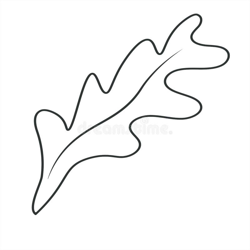 Oak Leaf Line Art. Minimal One Line Drawing of Oak Leaf in Sketch Style ...