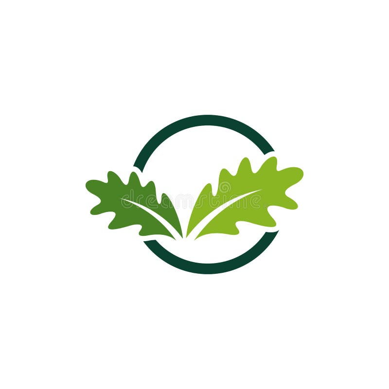 Oak Leaf Logo Design Vector Illustration, Creative Oak Tree Logo Design ...