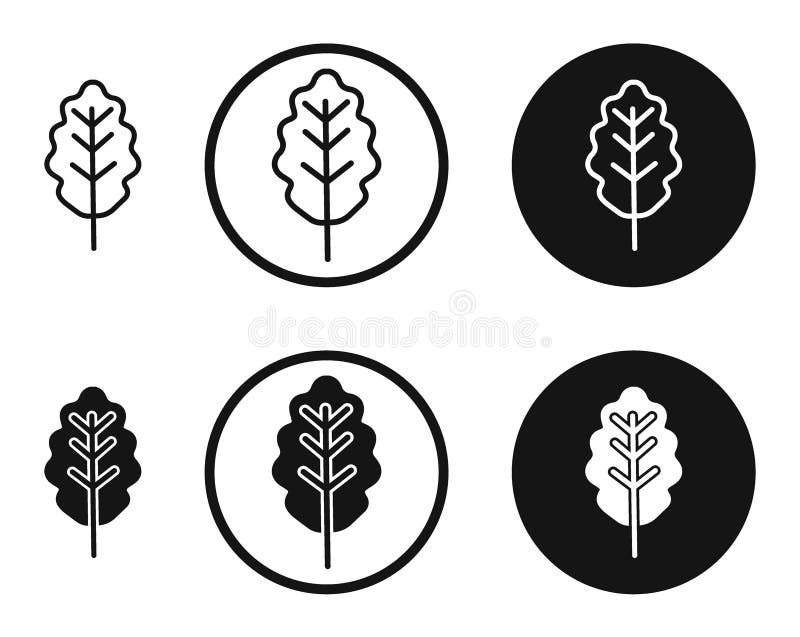 Oak Leaf Vector Icon Set in Black and White Outlines Stock Vector ...