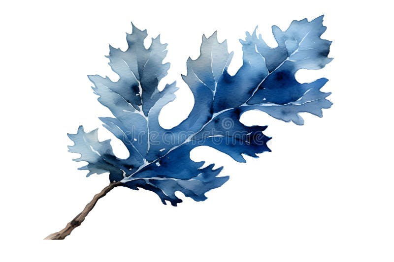 Beautiful Watercolor Painting of a Blue Oak Leaf. Stock Illustration ...