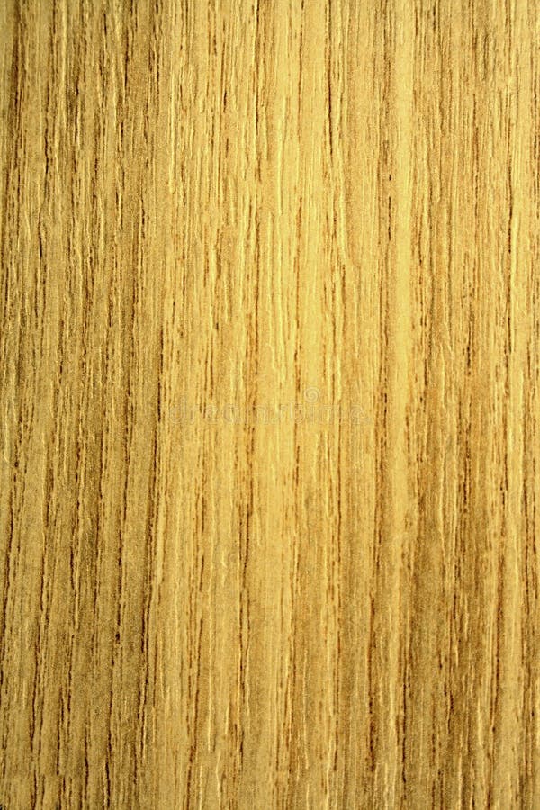 Oak Light Coloured, Texture Old Wood Stock Photo - Image of close ...