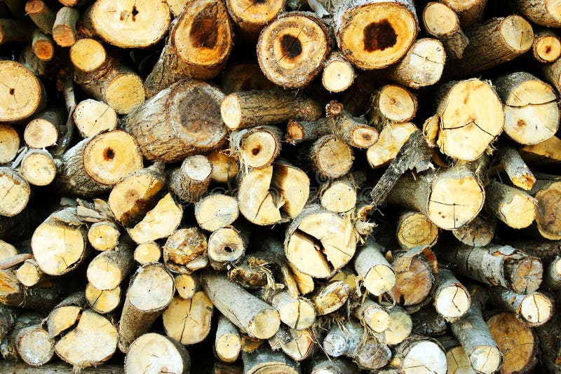 Oak log stock image. Image of brown, ends, growth, industry - 26460801