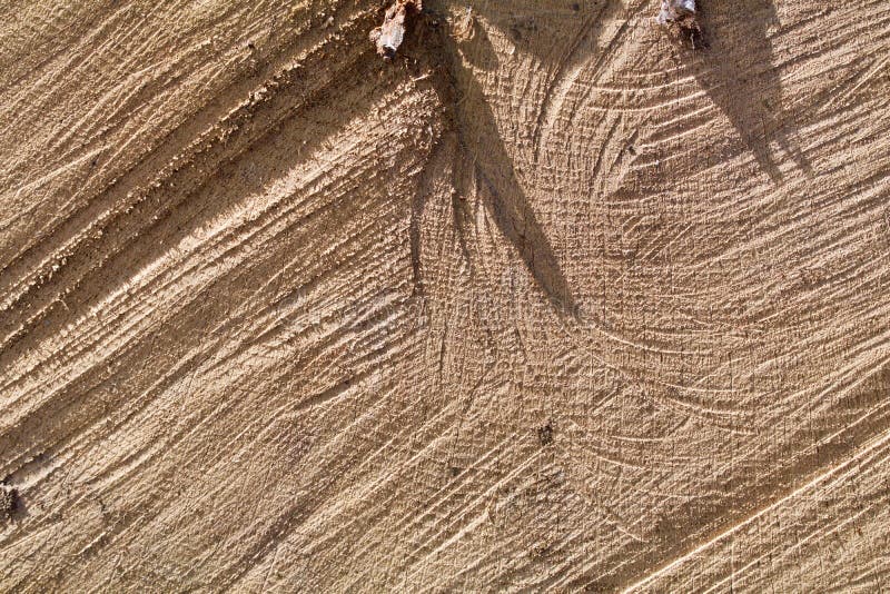 Oak Log Cross Section with Saw Marks Stock Photo - Image of history ...