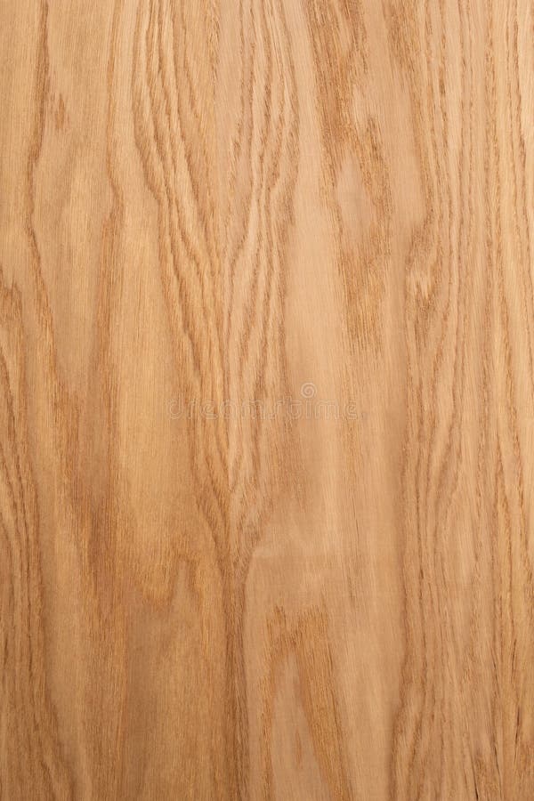 Oak Plank. the Structure of Natural Oak. a Tangential Cut of a Tree ...