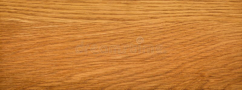 Oak Plank Texture Background. Clean Wood Plank Panorama Texture ...