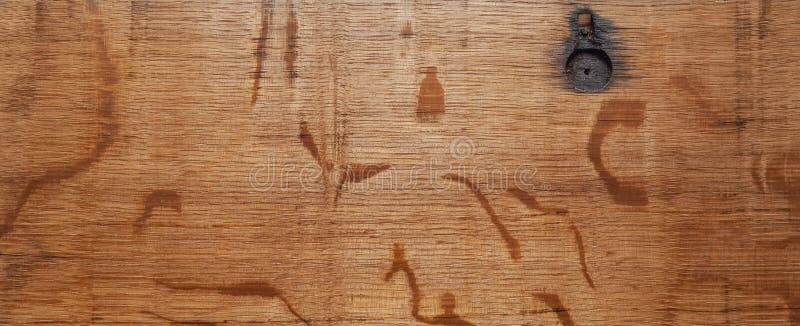 Oak plank 1 stock photo. Image of wood, markings, tool - 52152812