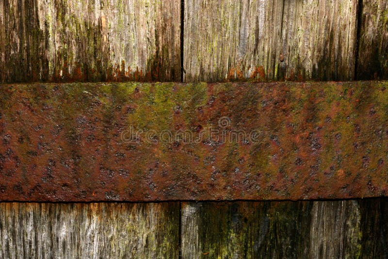 Oak and Rust stock photo. Image of craftsmanship, scotch - 290340