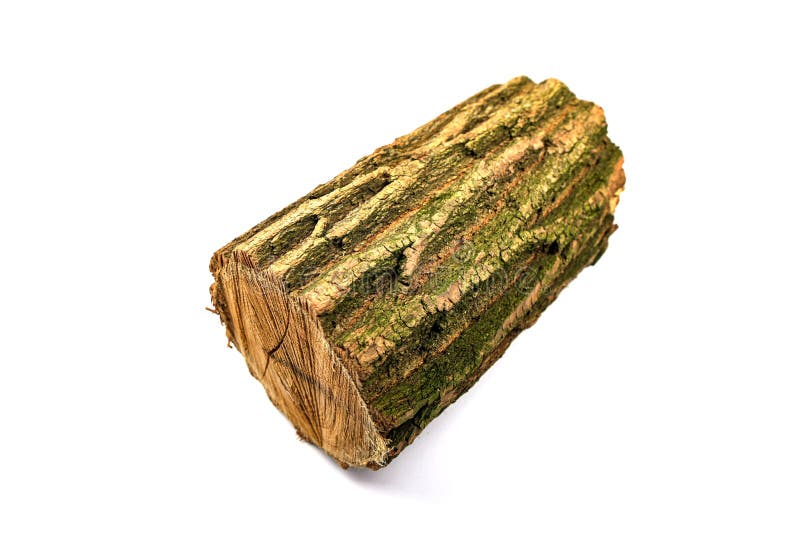 Oak Stump, Log Fire Wood on White Background Stock Image - Image of ...
