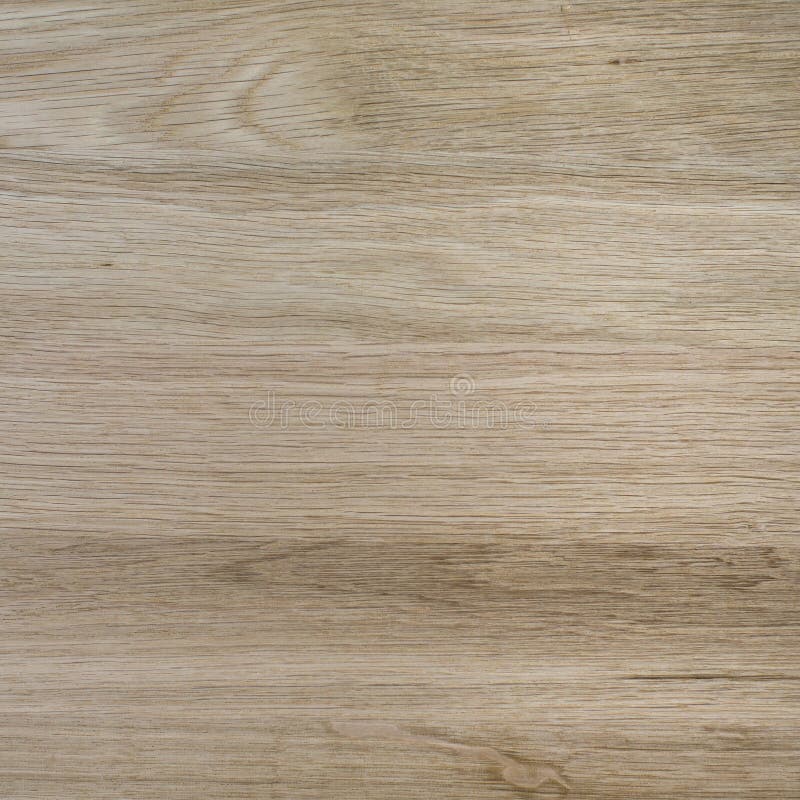 Oak. Texture of Fine Wood. Nature. Stock Image - Image of border, rural ...