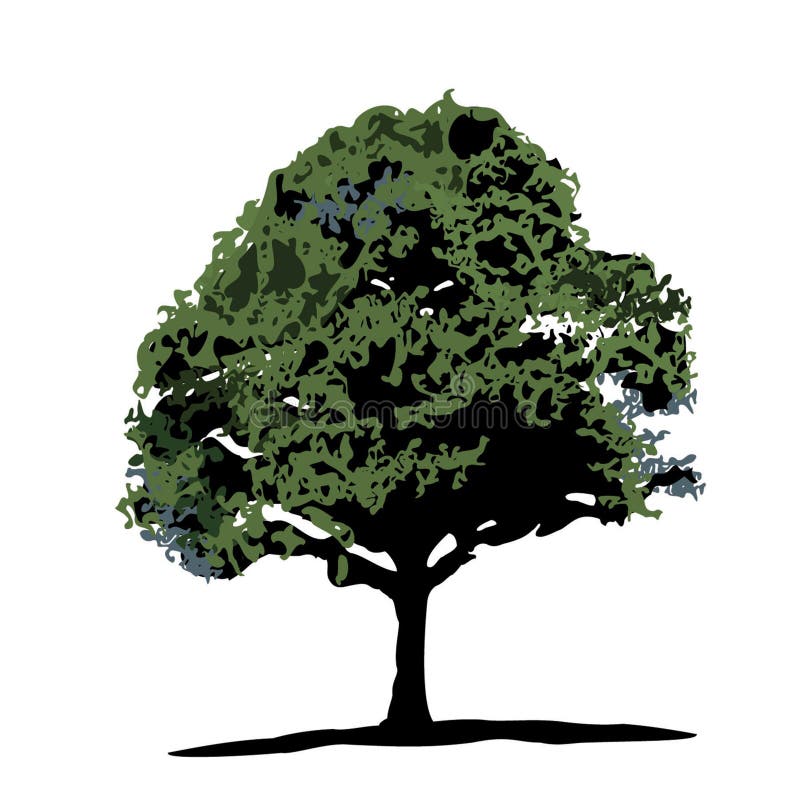 Oack tree banner stock vector. Illustration of countryside - 7738194