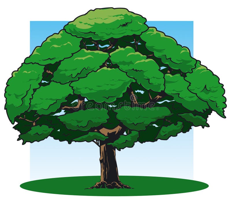 Cartoon Oak Tree Stock Illustrations – 20,820 Cartoon Oak Tree Stock ...