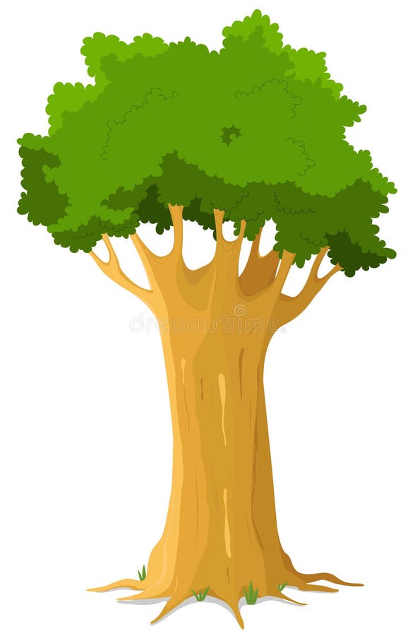 Oak Tree Roots Stock Illustrations – 2,045 Oak Tree Roots Stock ...