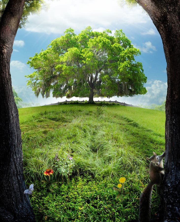 10+ Magical oak tree Free Stock Photos - StockFreeImages