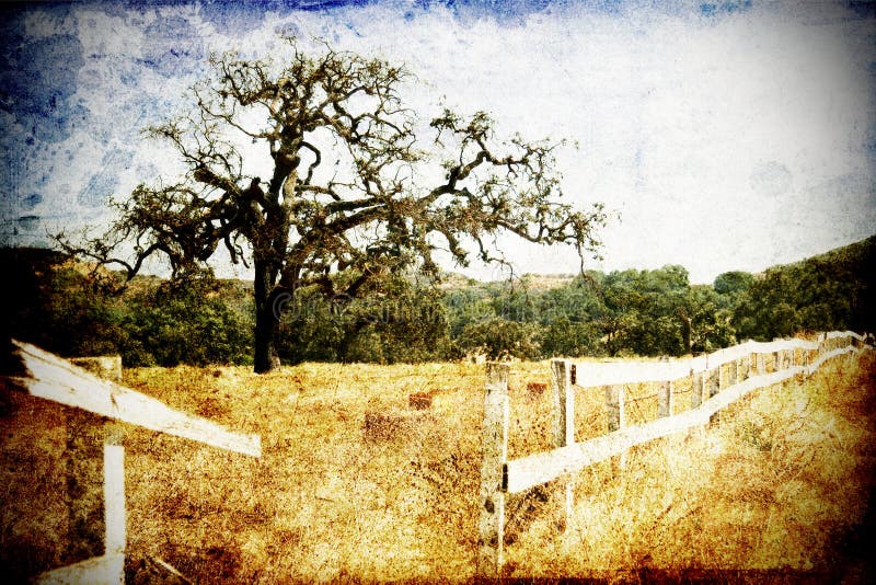 Oak Tree Border Stock Illustrations – 10,115 Oak Tree Border Stock ...