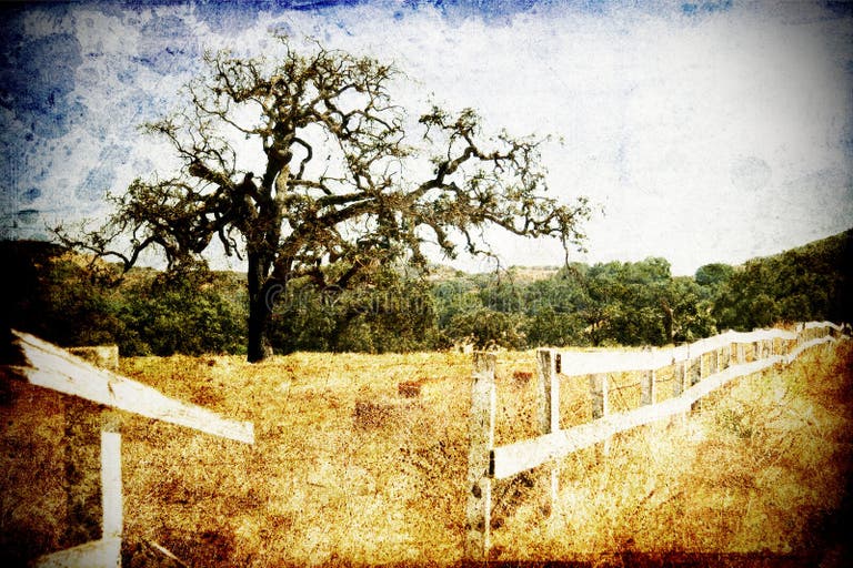 Oak Tree Branch Border Stock Illustrations – 3,940 Oak Tree Branch ...