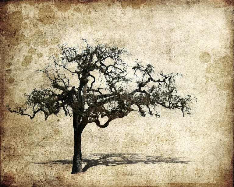 Oak Tree Branch Border Stock Illustrations – 3,940 Oak Tree Branch ...