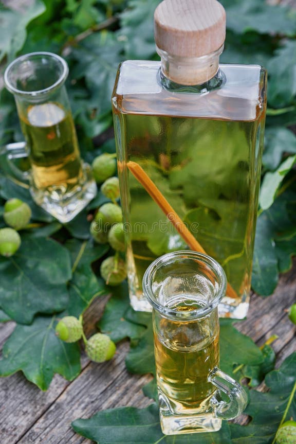 Oak tree alcohol stock photo. Image of acorn, liquer - 79071778