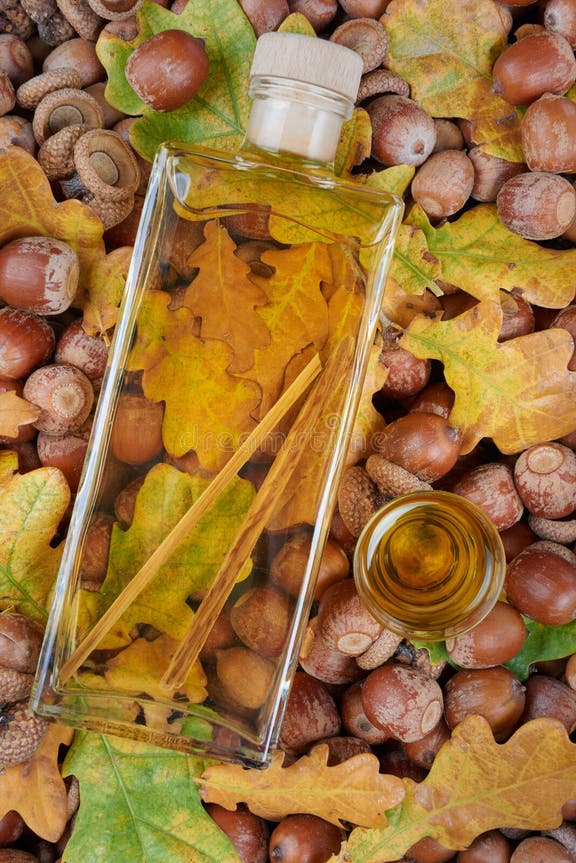 Oak tree alcohol stock image. Image of brown, acorn, alcohol - 79072289