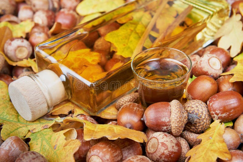 Oak tree alcohol stock photo. Image of fresh, bark, brown - 79072564