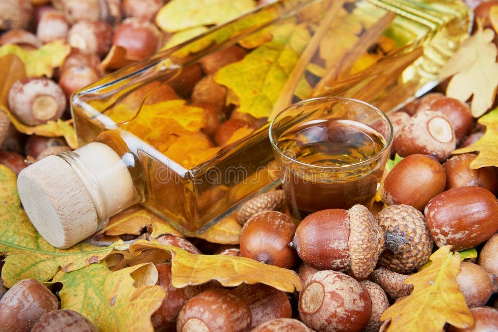 Oak tree alcohol stock photo. Image of fresh, bark, brown - 79072564