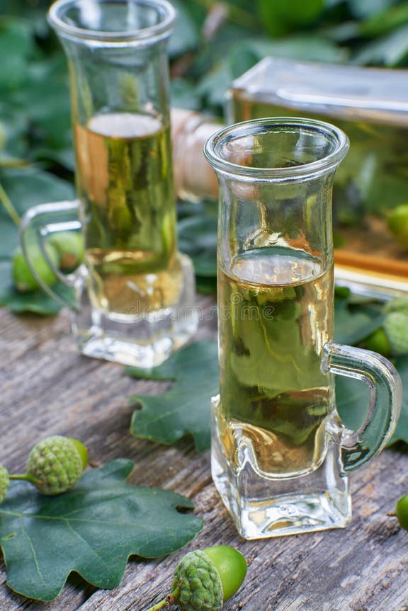 Oak tree alcohol stock photo. Image of foliage, alcoholic - 79072612