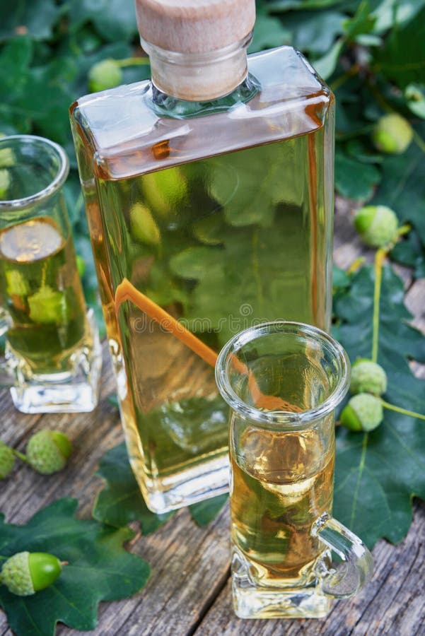 Oak tree alcohol stock photo. Image of freshness, liquor - 79118414