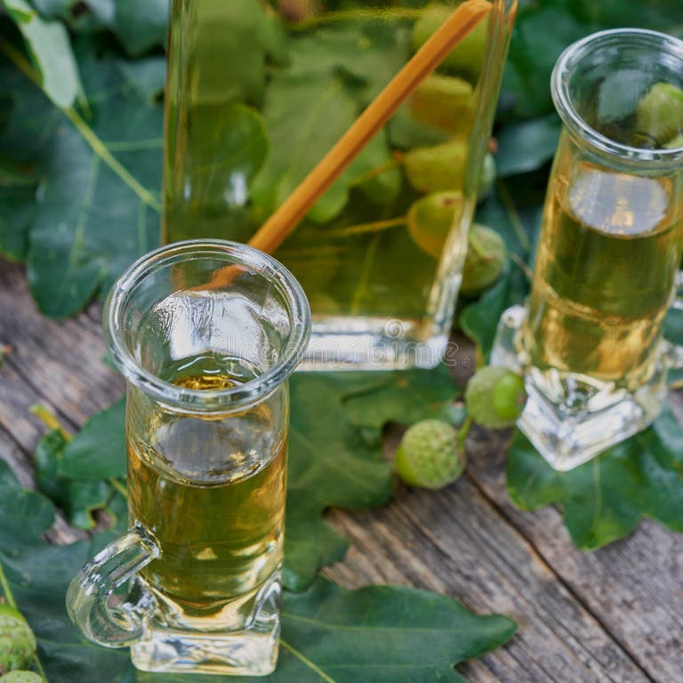 Oak tree alcohol stock image. Image of brown, forest - 79118687