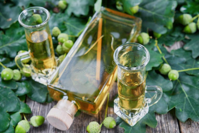 Oak tree alcohol stock image. Image of freshness, foliage - 79118689