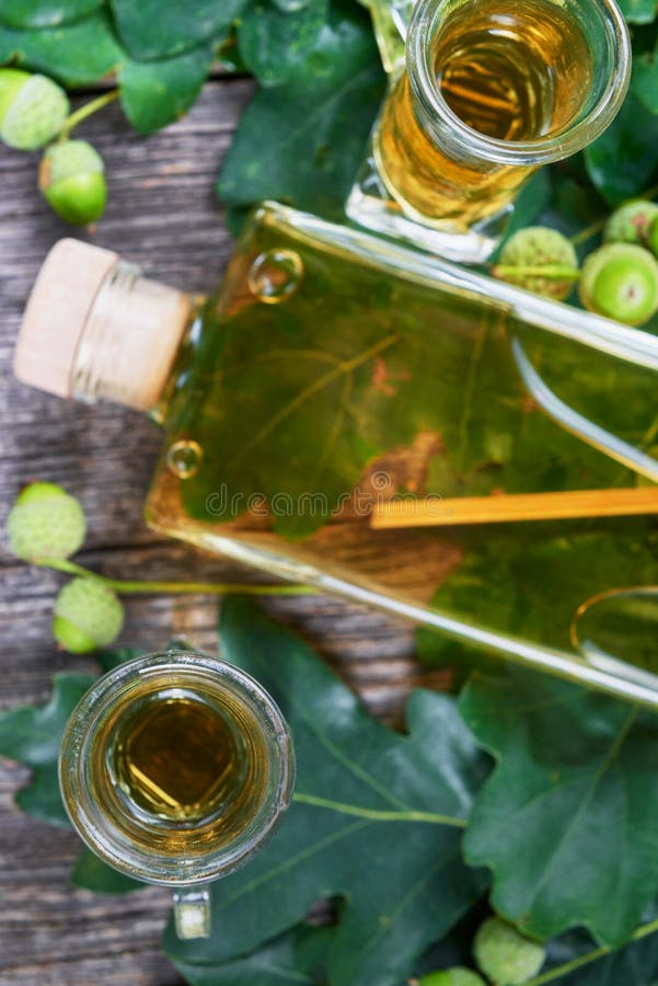 Oak tree alcohol stock photo. Image of garden, brown - 79118698
